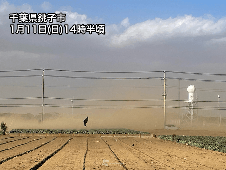 関東は20m/s超の強風と乾燥で土煙が舞う - ウェザーニュース
