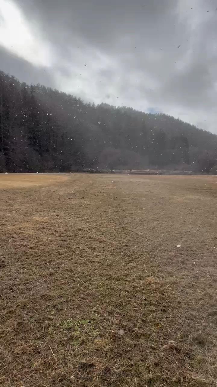 もみじ湖、みるみるうちに雪が ️ひどくな | 長野県上伊那郡箕輪町 | Ploody | ウェザーニュース